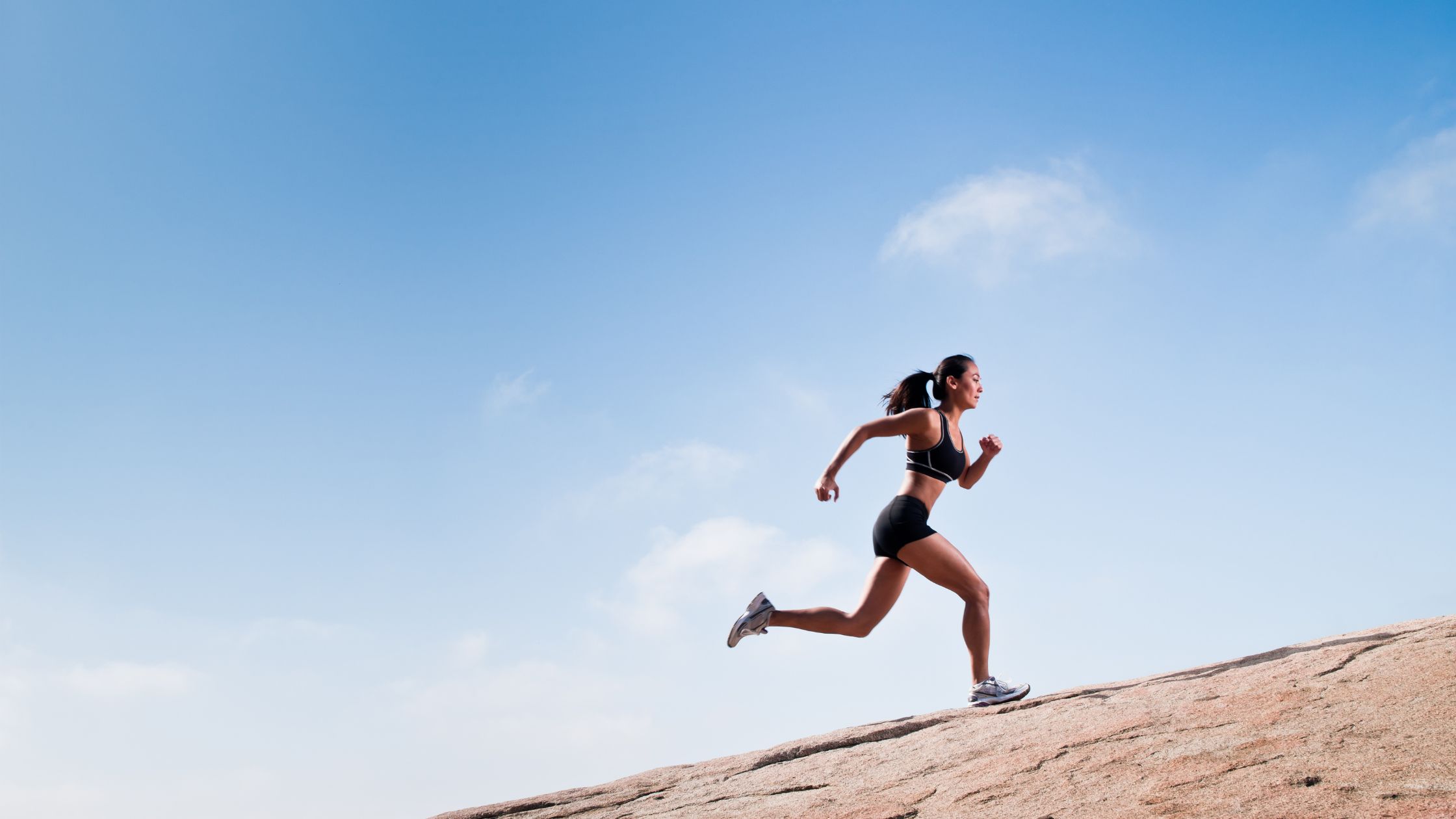 Discover, Align, Elevate: Your Path to Recovery and Peak Performance ...